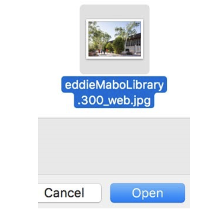 Microsoft Forms Quick Start Guide | Hybrid Media